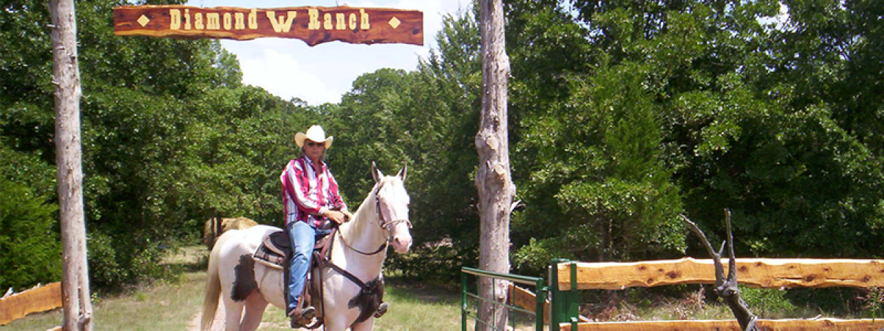 Horse for sale in Greenville